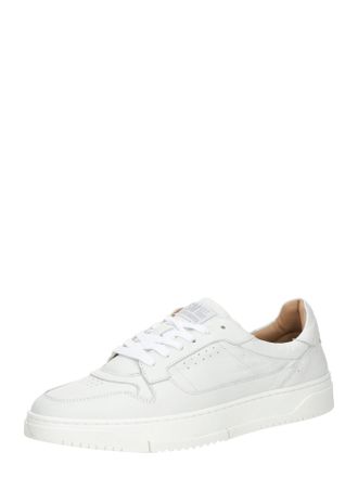 Steve Madden Sneaker Cliff