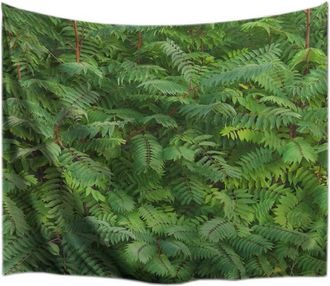 A.Monamour Wanddekor Wandbild Vorhang Wandteppiche Tropische Grüne Pflanzen Blätter Wald Garten Landschaft Sommer Bild Druck Stoff Tapisserie Wand Hängende Dekor