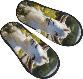 Generic Ch&egrave;vre Unisexe Pantoufles Confortable Chaussons Respirantes Slippers Pour Ext&eacute;rieur Maison Automne L