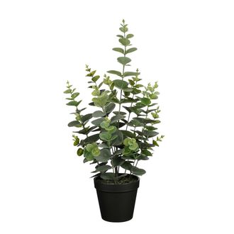 Mica Decorations K&uuml;nstliche Pflanze Eukalyptus im Topf - H 53 x &Oslash; 23 cm - Gr&uuml;n