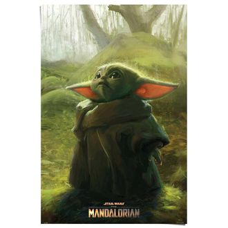 Reinders Poster, Star Wars Mandalorian Baby Yoda Grogu, Teenager Zimmer, Poster, Wanddeko, Room Decor, 150 gr. gl&auml;nzend Bilderdruckpapier, Gr&uuml;n, 91,5 x 61
