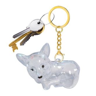 Generic Porte-clés porte-poils pour animaux de compagnie | Porte-clés pour chien | Amulette émotionnelle transparente avec compartiment | Pour sac à dos voitu