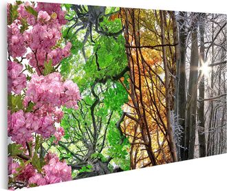 Islandburner Leinwandbild Vier Jahreszeiten Naturwandel im Wandel der Zeit - Leinwand 100x57cm
