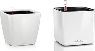 Lechuza Quadro Premium LS 21, Weiß Hochglanz, Hochwertiger Kunststoff, Inkl. Bewässerungssystem & Cube Glossy 14 hochwertiger Pflanzwürfel mit Stick -Bewässer