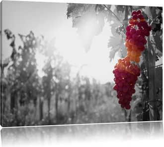 Pixxprint wunderschöne Weintrauben an Rebe B&W, Größe: 60x40cm, Leinwandbild, fertig gespannt, Wandbild, Dekoration, Kunstdruck, kein Poster