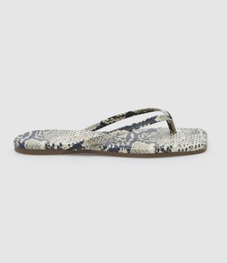 Tkees Tongs Square Toe Exotics Sandsnake