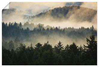 Artland Wanddeko Poster & Kunstdrucke Wandposter 90x60 cm Querformat Landschaften Wald Bäume Nebel Herbst Sonnenaufgang Bayern U4TM