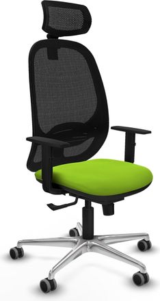 Piqueras y Crespo Universit&auml;tsstuhl Cilanco mit 1D-Armlehnen, h&ouml;henverstellbarer Lendenwirbelst&uuml;tze und Kopfteil, h&ouml;henverstellbar und neigbar. Ausgestattet mit 3 Posit