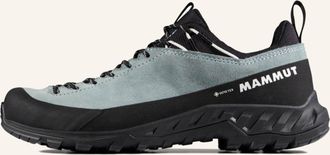 Mammut Mammut Alnasca Iv Low Lth Gtx Women blau