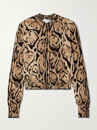 Stella McCartney Pull En Mailles Jacquard Cloud - Multicolore