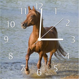 Wallario Design-Wanduhr Braunes Pferd am Meer Araber am Wasser aus Glas, Motiv-Uhr Größe 30 x 30 cm, weiße Zeiger