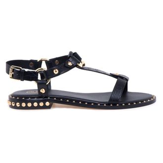 Ash Ash, Damen, Schuhe, Schwarzk, 36 EUGr&ouml;&szlig;e