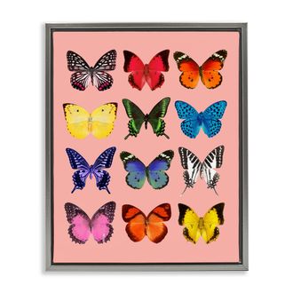 Stupell Industries LISH Creative Leinwandbild, Motiv: Schmetterlingsarten auf rosa-braunem Rahmen, 53,3 x 43,2 cm