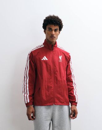 adidas adidas Football - Liverpool Home 26 Anthem - Veste - Rouge