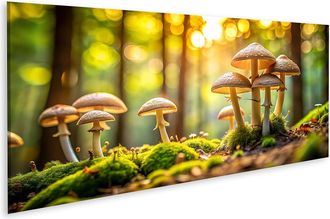 Islandburner Bild auf Leinwand Nahaufnahme Pilze Wald Bilder Wandbilder Poster