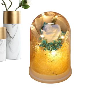 Generic Eternal Preserved Flower Faux - Rose Glass Dome, Infinity Rose with LED Light | Preserved Flower Night Lamp for Desk Decor, Romantic, Gift, Mom, Women