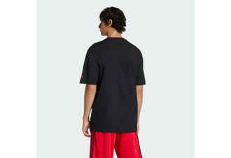 adidas Originals T-Shirt GFX TEE VARSITY (1-tlg)