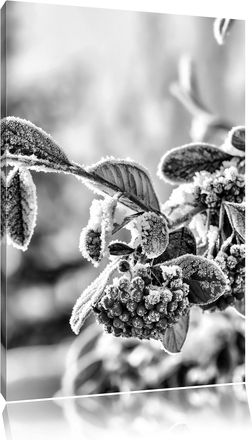 Pixxprint Vogelbeeren im Winter, Gr&ouml;&szlig;e: 80x60cm, Leinwandbild, fertig gespannt, Wandbild, Dekoration, Kunstdruck, kein Poster