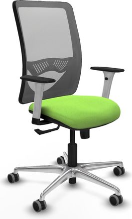 Piqueras y Crespo Drehbarer Schreibtischstuhl Zulema ohne Rollen mit wei&szlig;en und schwarzen Armlehnen, h&ouml;henverstellbare Lendenwirbelst&uuml;tze, mit 3 Positionen, Grau/Pistaz