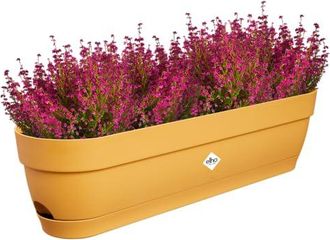 ELHO Vibia Campana Balkonkasten 70 mit Wasserreservoir - Blumentopf Balkon - 100% recyceltes Plastik - Ø 69.0 x H 17.0 cm - Gelb/Honig Gelb
