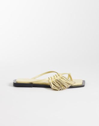 Asos Flit - Hochwertige Ledersandalen in Pastinakengelb mit Quasten