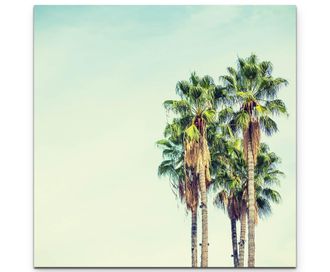 Paul Sinus Art Leinwandbilder | Bilder Leinwand 90x90cm Palmen in Los Angeles