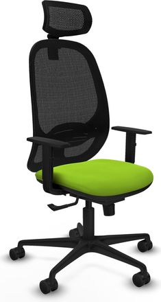 Piqueras y Crespo Schreibtischstuhl f&uuml;r Oppositoren, mit 1D-Armen, h&ouml;henverstellbare Lendenwirbelst&uuml;tze und h&ouml;henverstellbares Kopfteil, Schwarz / Pistazie