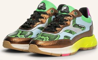 Floris Van Bommel Floris Van Bommel Sneaker Daysi 04 gruen