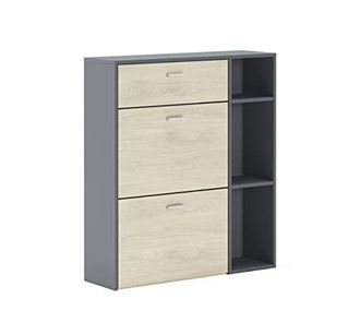 Skraut Home Schuhschrank - 102 x 90 x 26 cm - Kapazität für 12 Paar Schuhe - 2 Flügeltüren + 1 Schublade - Windmodell - Grau/Eiche-Finish