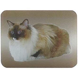 MSV Hackbrett, Polypropylen (PP), Mehrfarbig, 30 cm