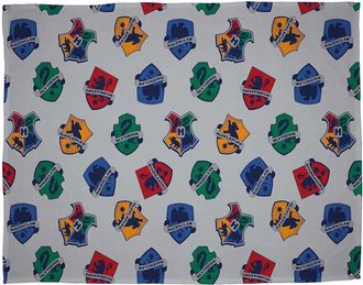 Harry Potter 150 cm x 100 cm TC597