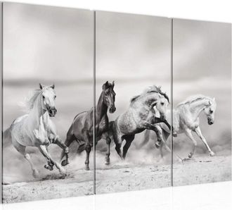 Runa Art Wandbilder Pferde Bild XXL Wohnzimmer Schlafzimmer Schwarz Weiss Tiere 120 x 80 cm 3 Teilig 014131c