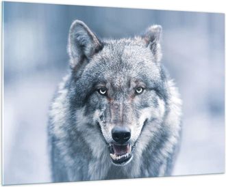 Arttor Bilder auf Glas 100x70cm Glasbild Wolf Raubtier Wildheit Gro&szlig; Wanddeko Bild im Glas Schlafzimmer K&uuml;che Deko Wandbilder Dekoration Wohnzimmer Modern Wa