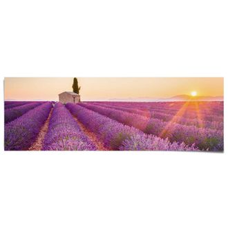 Reinders Poster, Lavendel Horizont, Wohnzimmer, Bilder, Wanddeko, Room Decor, 170 gr. gl&auml;nzend Bilderdruckpapier, Lila, 53 x 158cm
