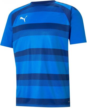 Puma Unisex Kinder Teamvision Jersey Jr Shirt, Electric Blue Lemonade-limoges-puma White, 152 EU