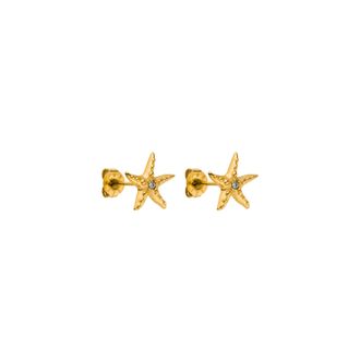 Purelei Aloha Starfish Ohrringe (Aloha) mit Zirkonia Steinen