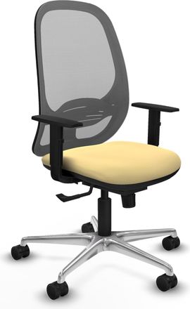 Piqueras y Crespo Cilanco Telearbeitsstuhl mit 1D-Armlehnen, h&ouml;henverstellbare Lendenwirbelst&uuml;tze, mit 3 Positionen und Schneidschaum, mit Rollen von 65 mm, Nylon, Grau