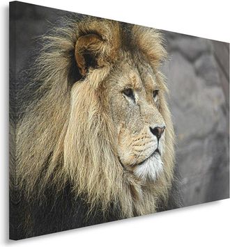 Feeby Frames Feeby, Wandbild - 1 Teilig - 40x60 cm, Leinwand Bild Leinwandbilder Bilder Wandbilder Kunstdruck, LÖWE, Tier, Natur, Afrika, BRAUN