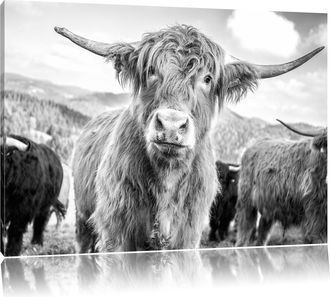 Pixxprint Niedlicher Blick Einer Kuh an der Weide Kunst B&W, Größe: 120x80cm, Leinwandbild, fertig gespannt, Wandbild, Dekoration, Kunstdruck, kein Poster