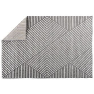 ebuy24 Ebuy24 - Aron Teppich 240x340 cm grau