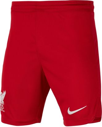 Nike Nike Liverpool DX2714-687 LFC M NK DF STAD Short HM Shorts Herren Gym RED/White Gr&ouml;&szlig;e S