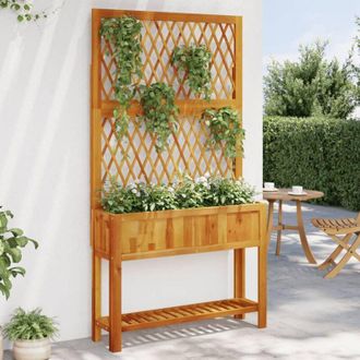 vidaXL Vidaxl - Jardini&egrave;re avec treillis et &eacute;tag&egrave;re bois massif dacacia