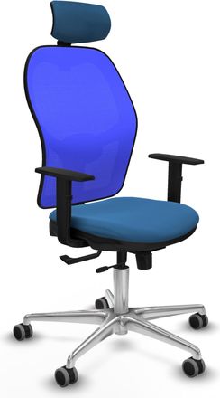 Piqueras y Crespo Ergonomischer Arbeitsstuhl mit 1D-Armen, h&ouml;henverstellbare Lendenwirbelst&uuml;tze und h&ouml;henverstellbares Kopfteil, Blau / Hellblau