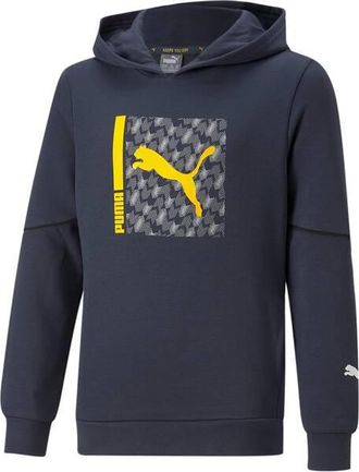 Puma Kinder Kapuzensweat Active Sports Hoodie TR B