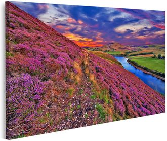 Islandburner Bild auf Leinwand Heidelandschaft bei Sonnenuntergang am Flusslauf im Sp&auml;tsommer Bilder Wandbilder Poster