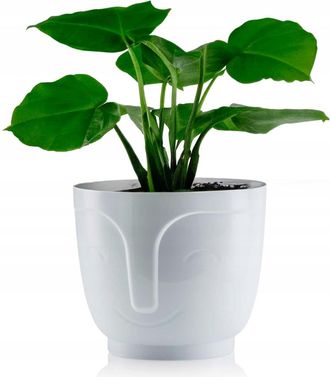 HowHomely Wei&szlig; Blumentopf aus Kunststoff Hoch 16 cm mit einem Durchmesser von 19 cm - &Uuml;bertopf Mit L&auml;cheln-Gesicht f&uuml;r Deko Wohnzimmer