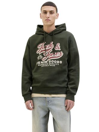 Jack & Jones JUNIOR Jjelogo Sweat Hood 2 Col Aw25 Noos Jnr