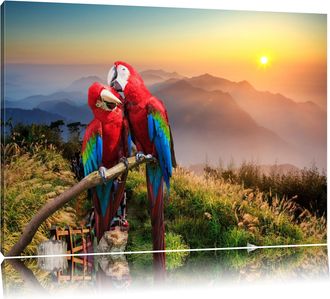 Pixxprint Papageien Pärchen, Größe: 120x80cm, Leinwandbild, fertig gespannt, Wandbild, Dekoration, Kunstdruck, kein Poster