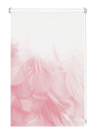 Gardinia Rollo ohne Bohren, Zum Klemmen, Blickdicht, Sichtschutz, Blendschutz, Inkl. Aller Montage-Teile, Digiprint Federboa, Weiß/Dekor, 110 x 150 cm