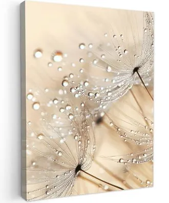 MuchoWow © Impression sur Toile Decoration Murale Peinture 50x70 cm Tableaux Decoratifs Muraux Déco Chambre Tableau Salon Pissenlit - Abstrait - Nature - Beige